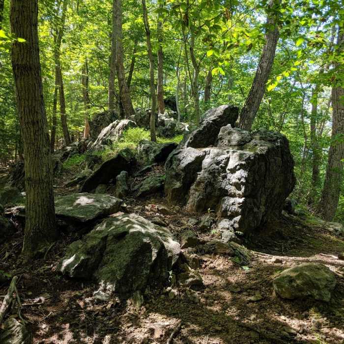 Switchplate Trail - Rocky Loop | Hiking Trail Maps, Difficulty, Trail ...