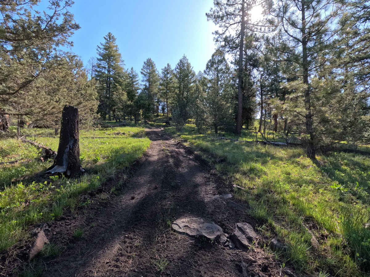 Snow Shoe Flat Trail - 40 | Off-Road Trail Maps, Difficulty, Trail ...