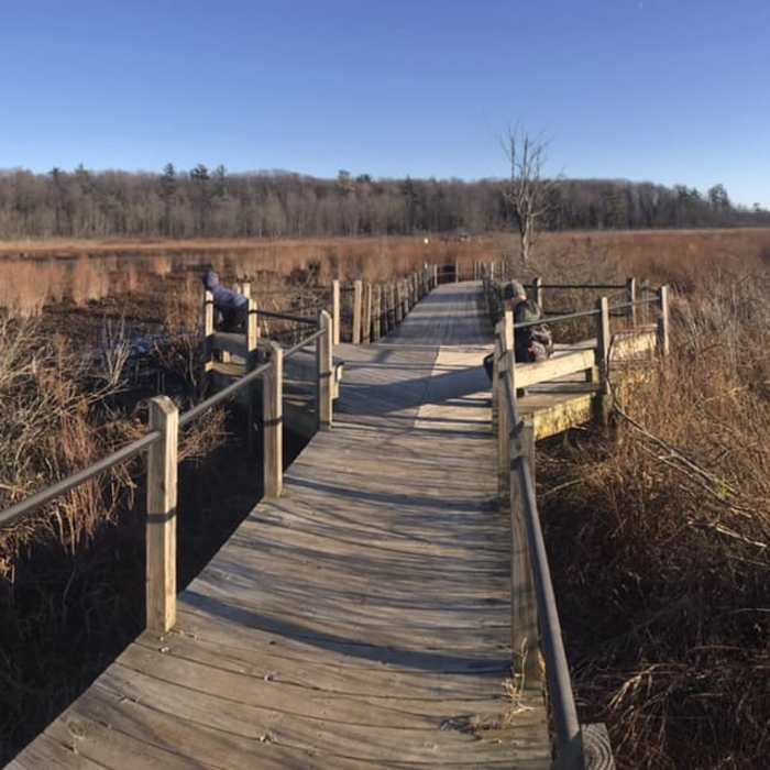Hofma Nature Trail | Hiking Trail Maps, Difficulty, Trail Status | onX