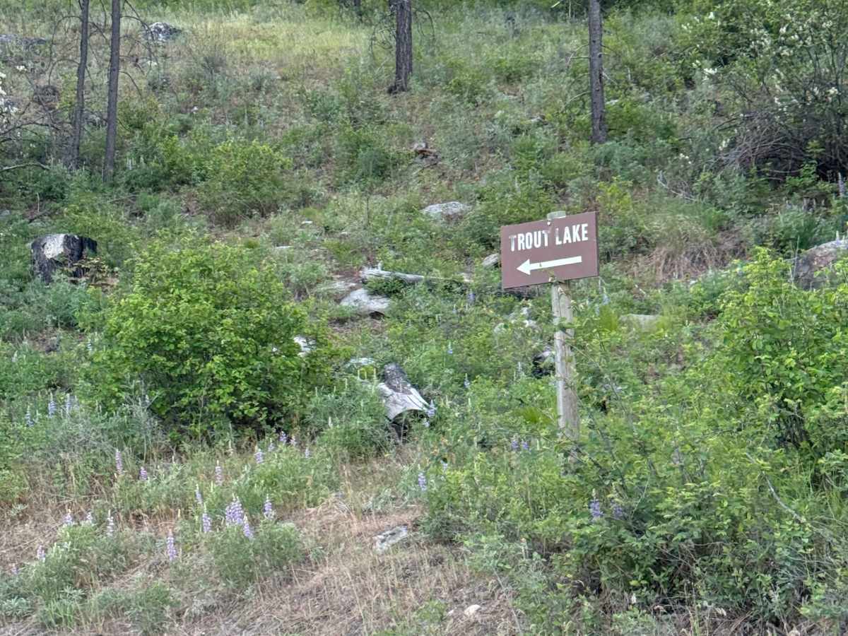 Trout Lake Road | Off-Road Trail Maps, Difficulty, Trail Status | onX ...