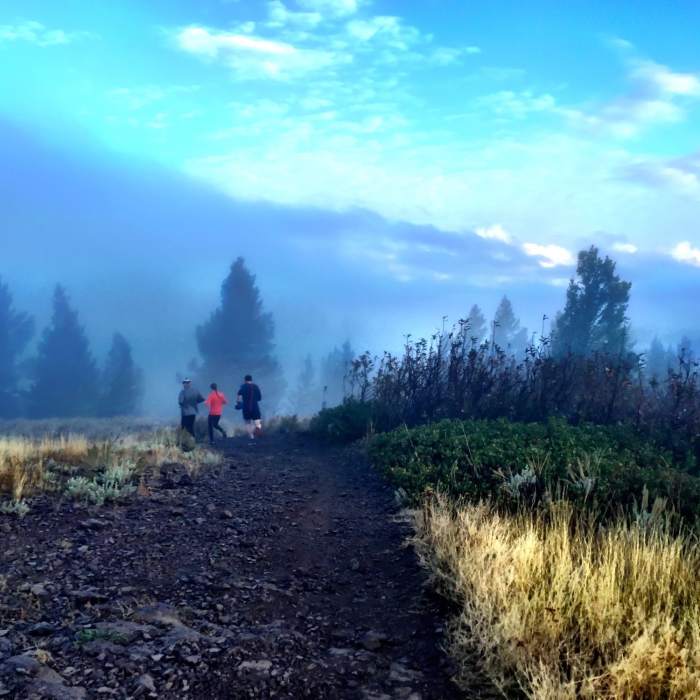 Kelly Mountain Loop Hiking Trail | Map, Difficulty, Trail Status | onX