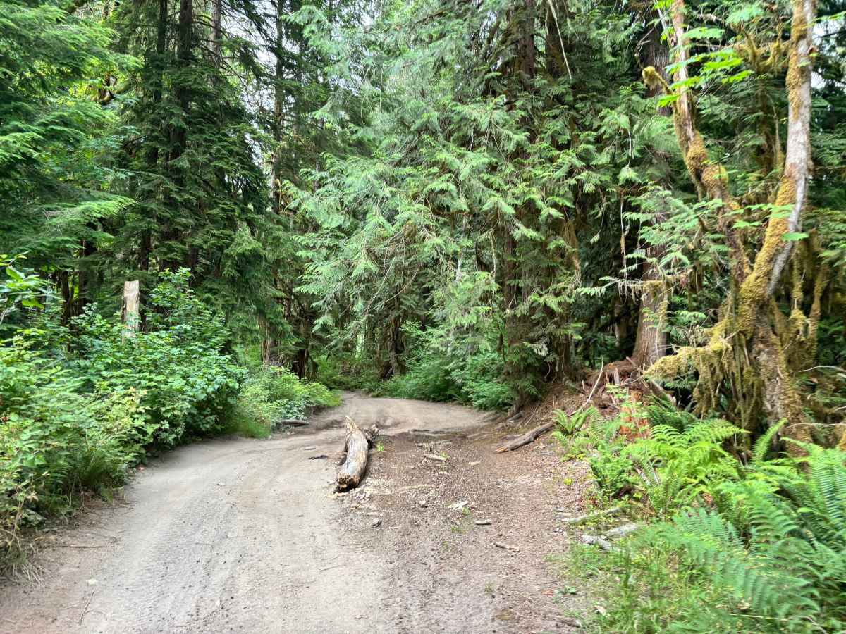 Sauk River Forest Loop | Off-Road Trail Maps, Difficulty, Trail Status ...