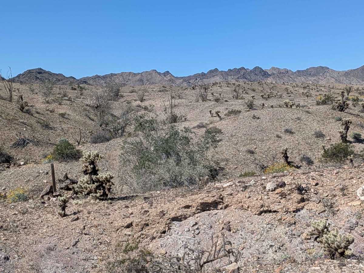 BLM 729 | Off-Road Trail Maps, Difficulty, Trail Status | onX Offroad