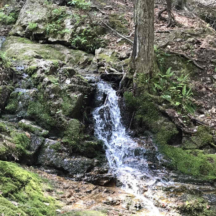 Bald Ledge Trail | Hiking Trail Maps, Difficulty, Trail Status | onX