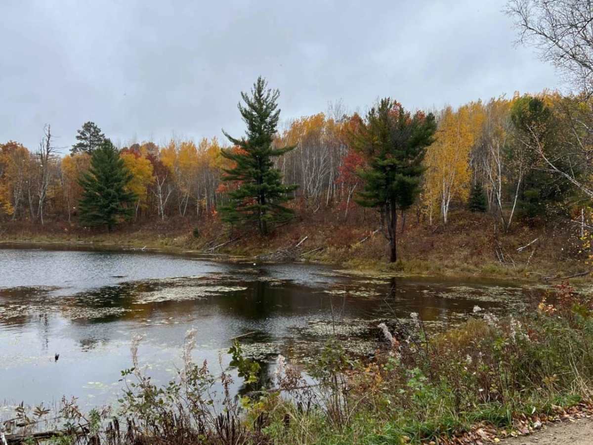 East Steamboat Lake Road | Off-Road Trail Maps, Difficulty, Trail ...