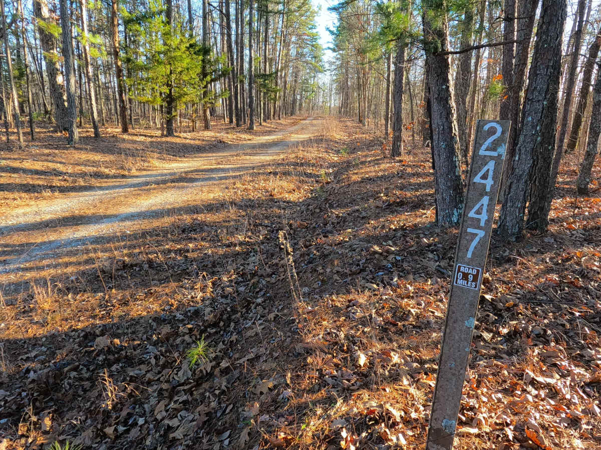 Turkey Trot - FS 2447 | Off-Road Trail Maps, Difficulty, Trail Status ...