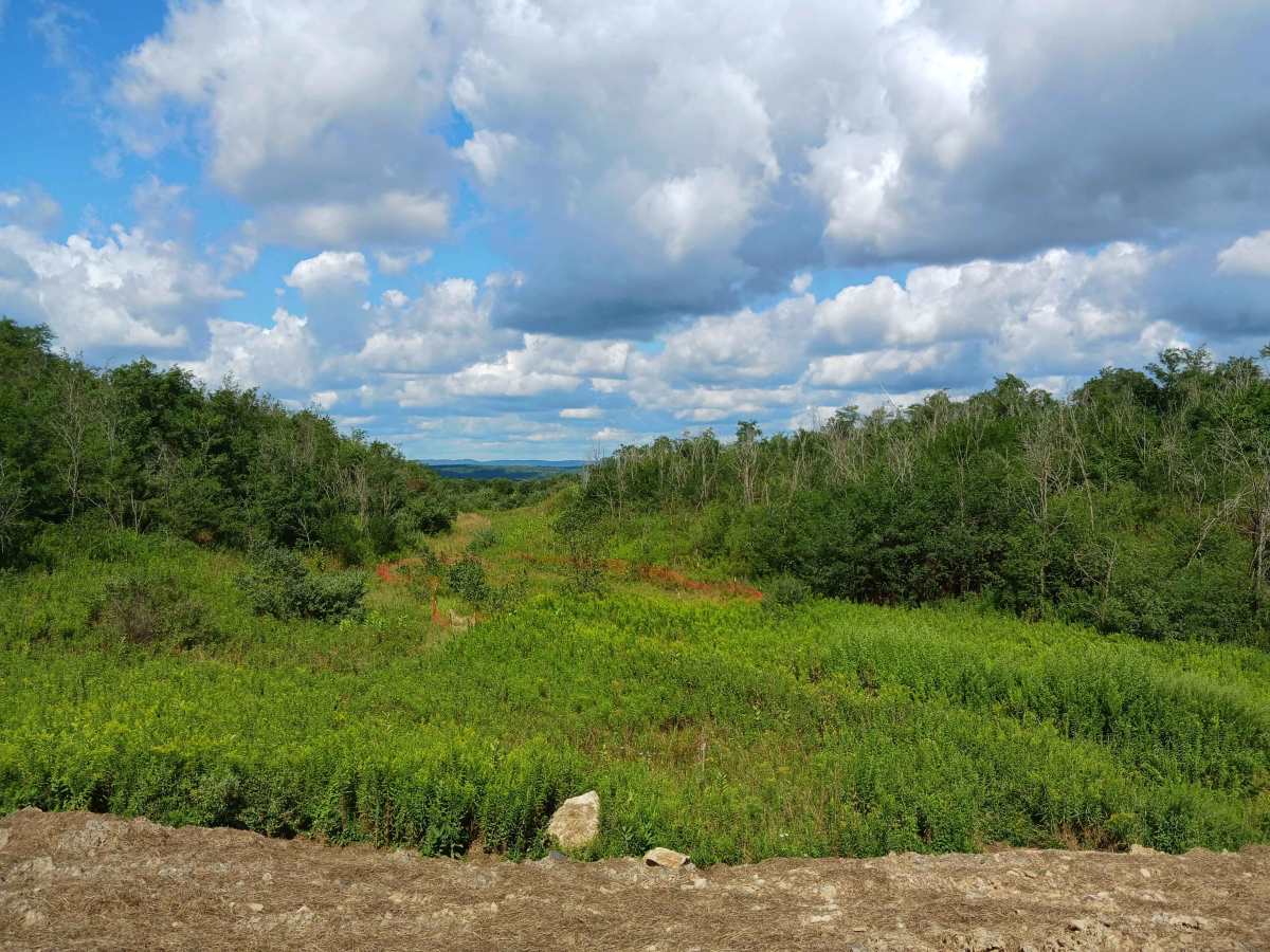 Play Pond Path Blue Trail - Rock Run Recreation Area | Off-Road Trail ...