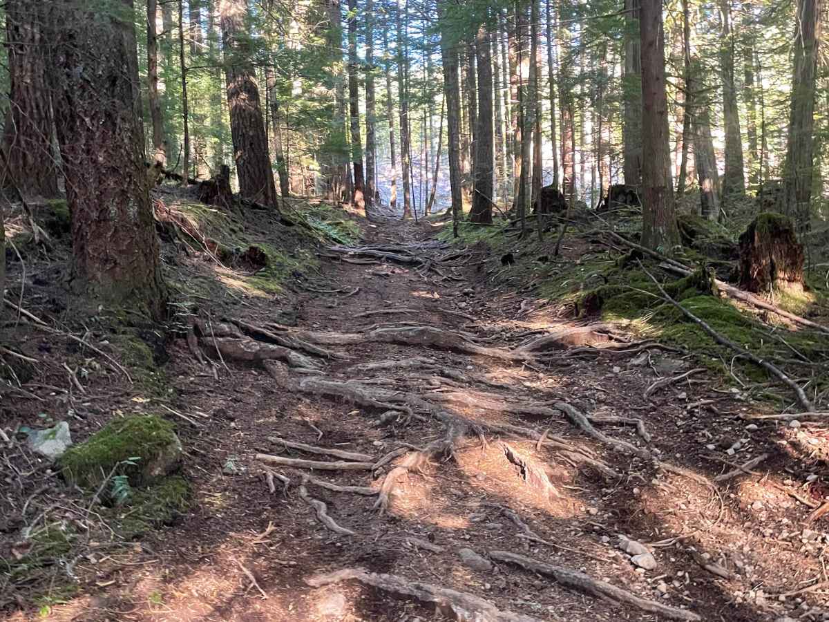 20 Year Trail | Off-Road Trail Maps, Difficulty, Trail Status | onX Offroad