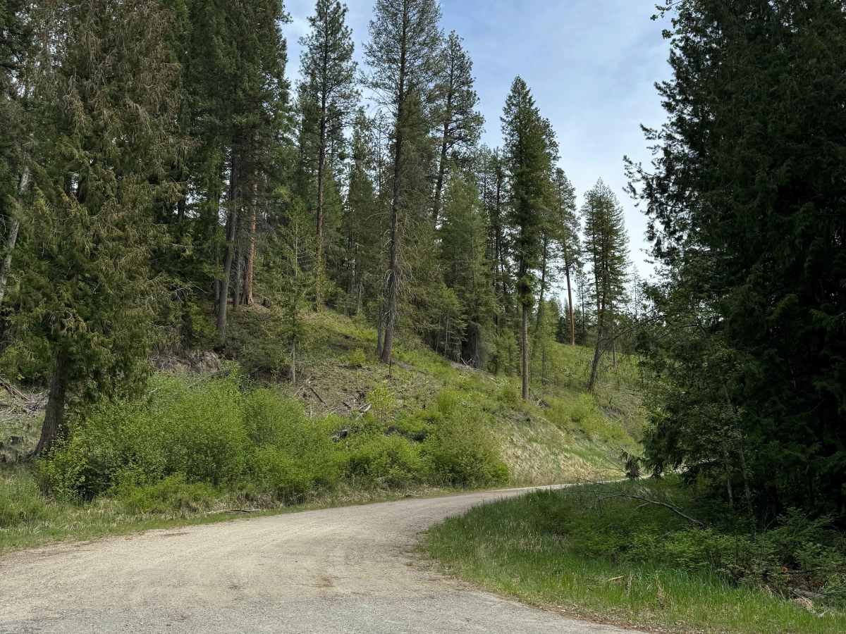 Lane Creek - FS 2000-220 | Off-Road Trail Maps, Difficulty, Trail ...