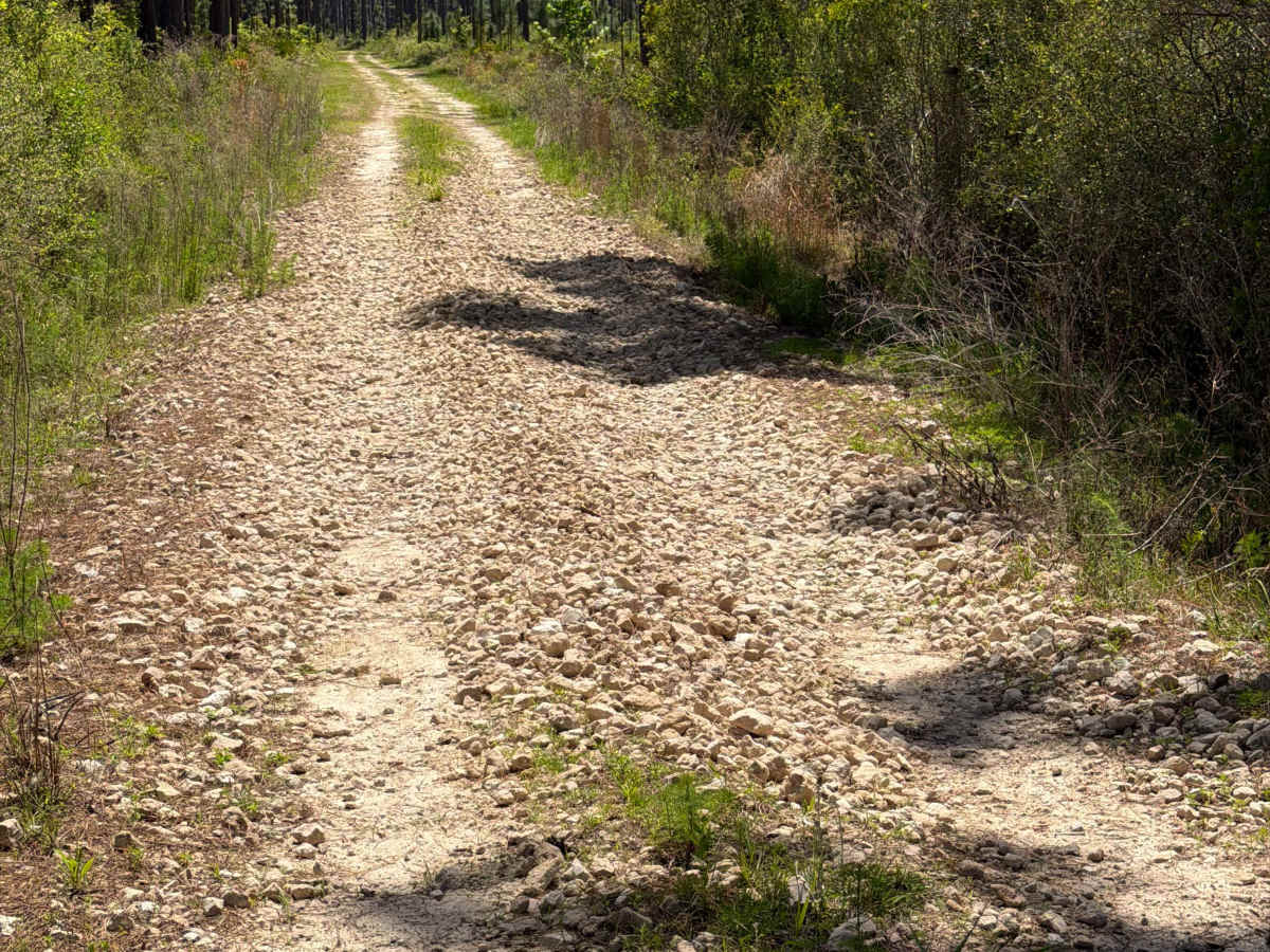 Old Pete - FS 173 | Off-Road Trail Maps, Difficulty, Trail Status | onX ...
