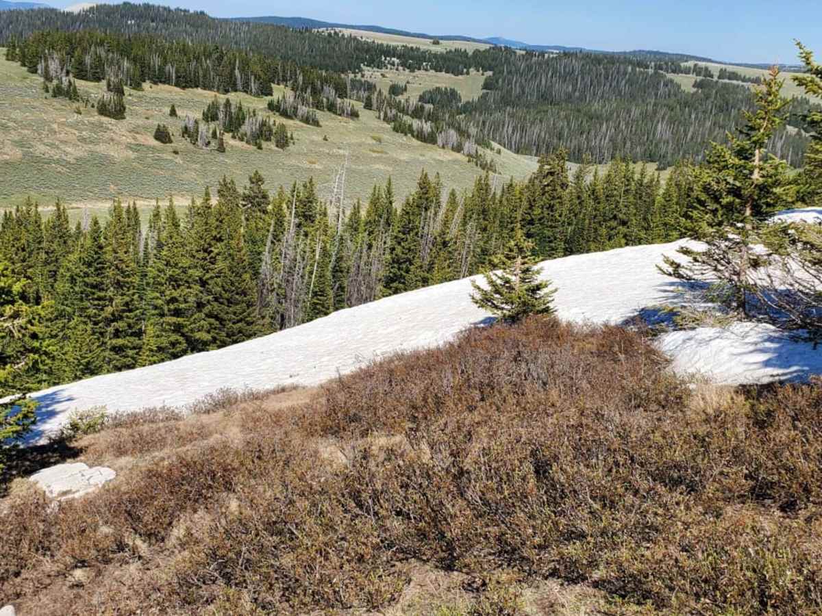 Bald Mountain | Off-Road Trail Maps, Difficulty, Trail Status | onX Offroad