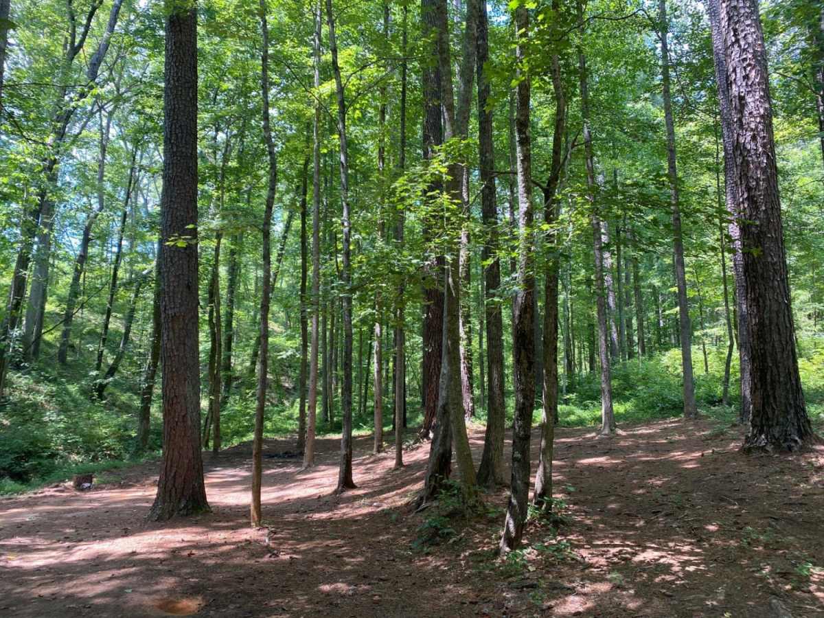 Guard Camp Road | Off-Road Trail Maps, Difficulty, Trail Status | onX ...