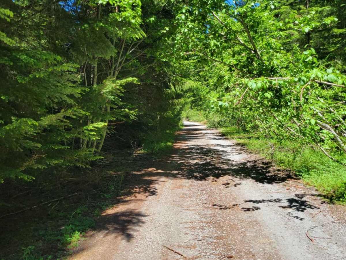 Mud Creek - Forest Road 309 | Off-Road Trail Maps, Difficulty, Trail ...