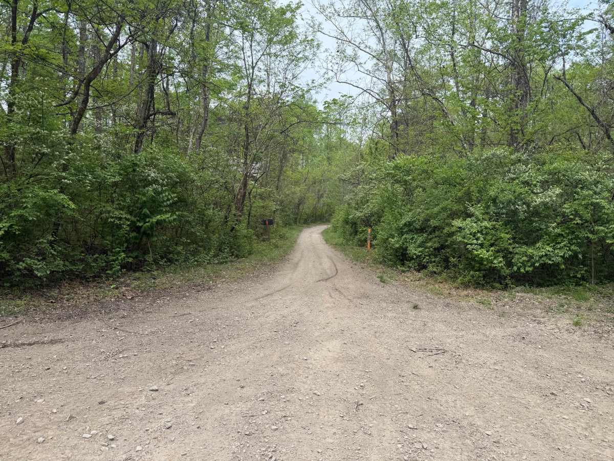 Hanging Rock Trail | Off-Road Trail Maps, Difficulty, Trail Status ...