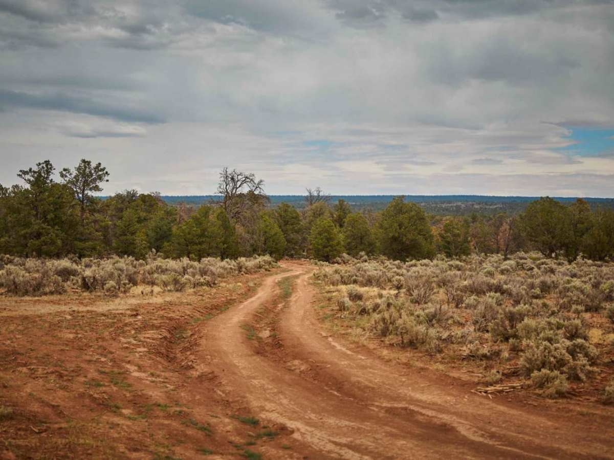 Old 304 Road | Off-Road Trail Maps, Difficulty, Trail Status | onX Offroad