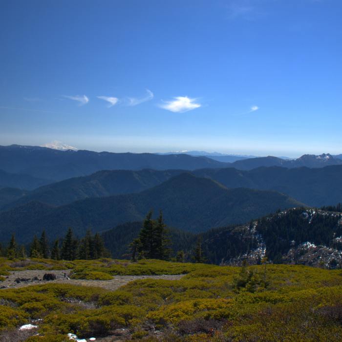 Grayback Mountain Trail | Hiking Trail Maps, Difficulty, Trail Status | onX