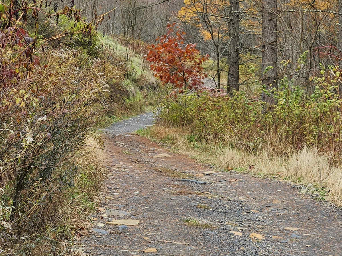 Rock Run - Rock Run Recreation Area | Off-Road Trail Maps, Difficulty ...