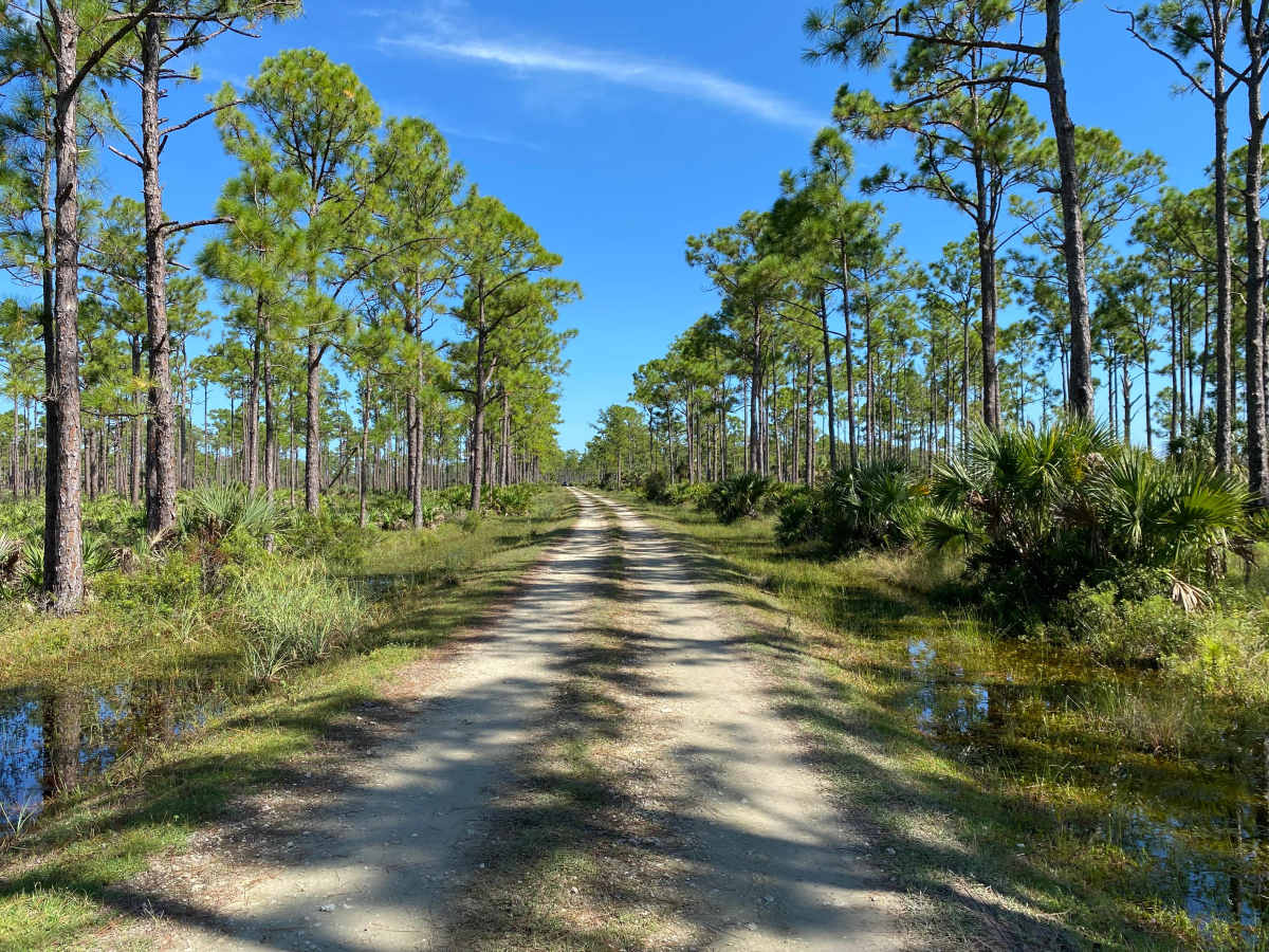 Road 6 | Off-Road Trail Maps, Difficulty, Trail Status | onX Offroad