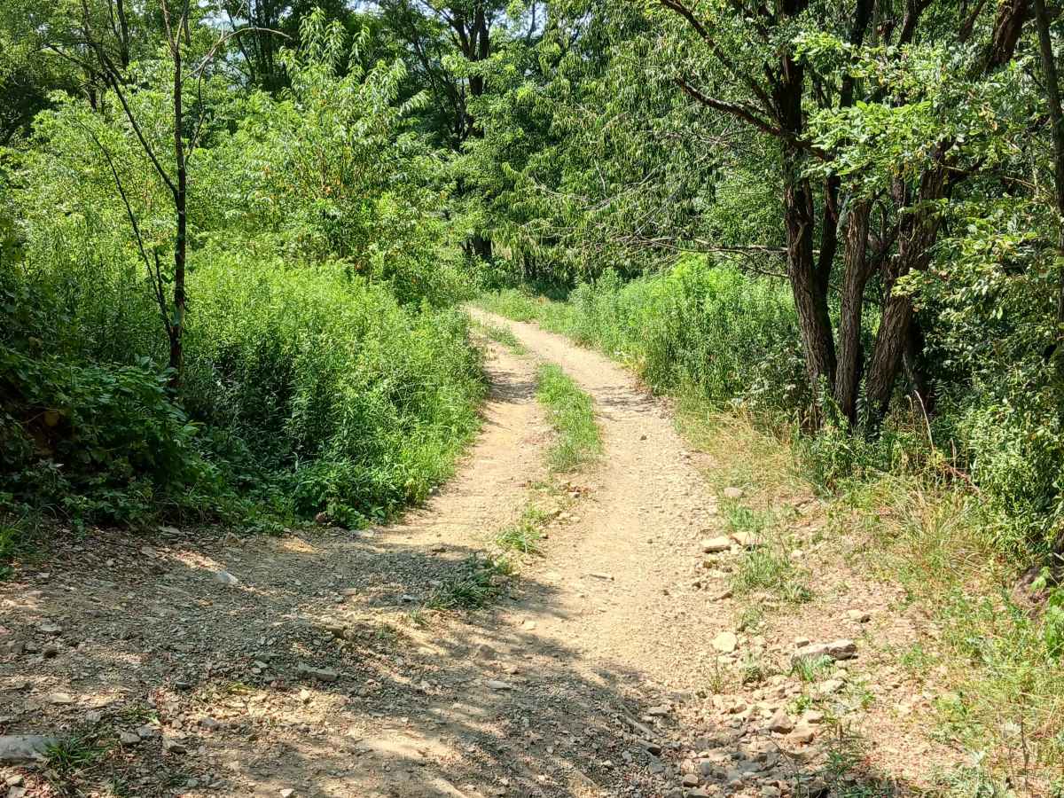 Big Buck Trail - Rock Run Recreation Area | Off-Road Trail Maps ...