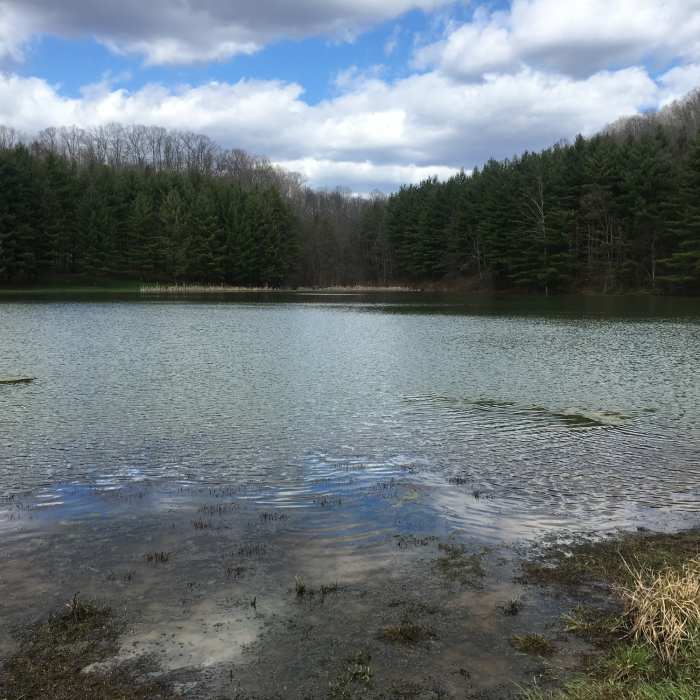 Lamping Short Loop | Hiking Trail Maps, Difficulty, Trail Status | onX
