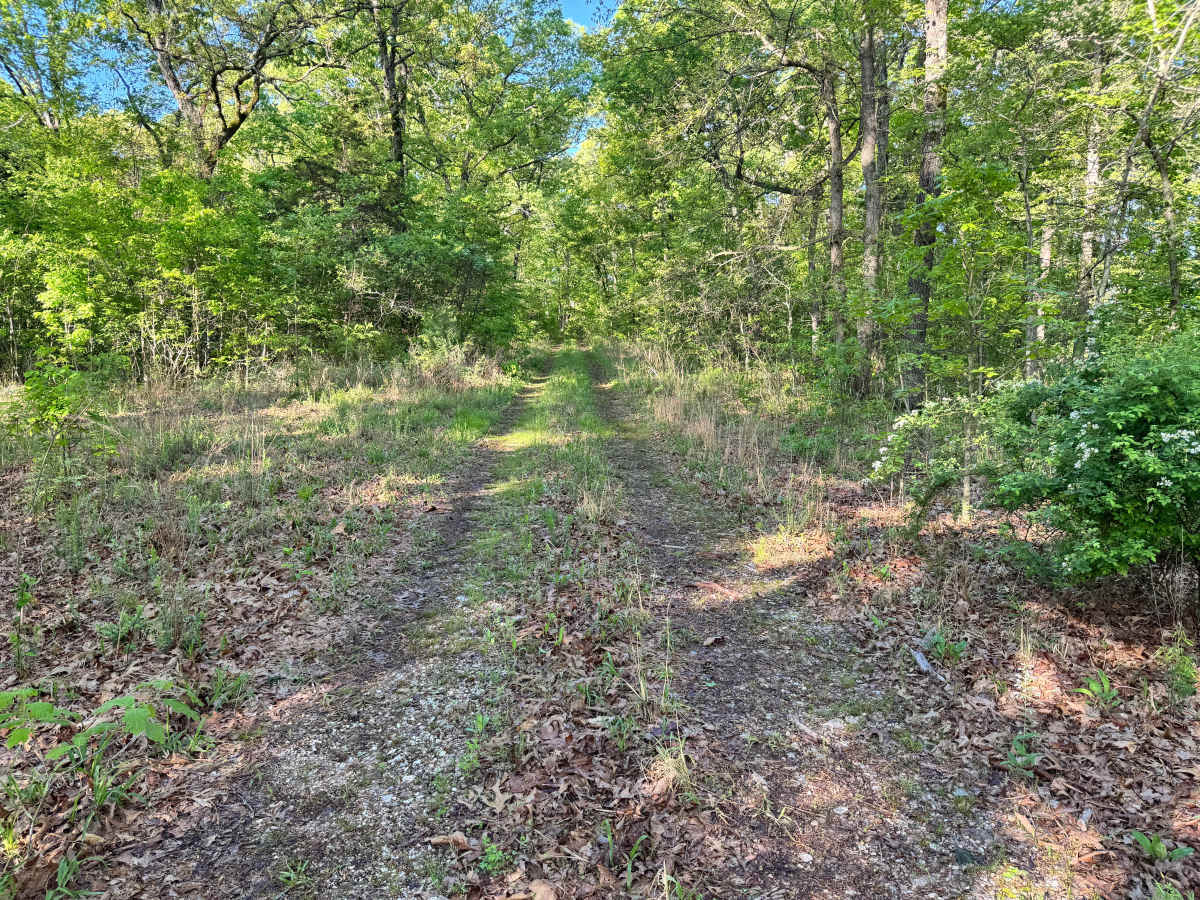 Teasley Hollow - FS 1742 | Off-Road Trail Maps, Difficulty, Trail ...