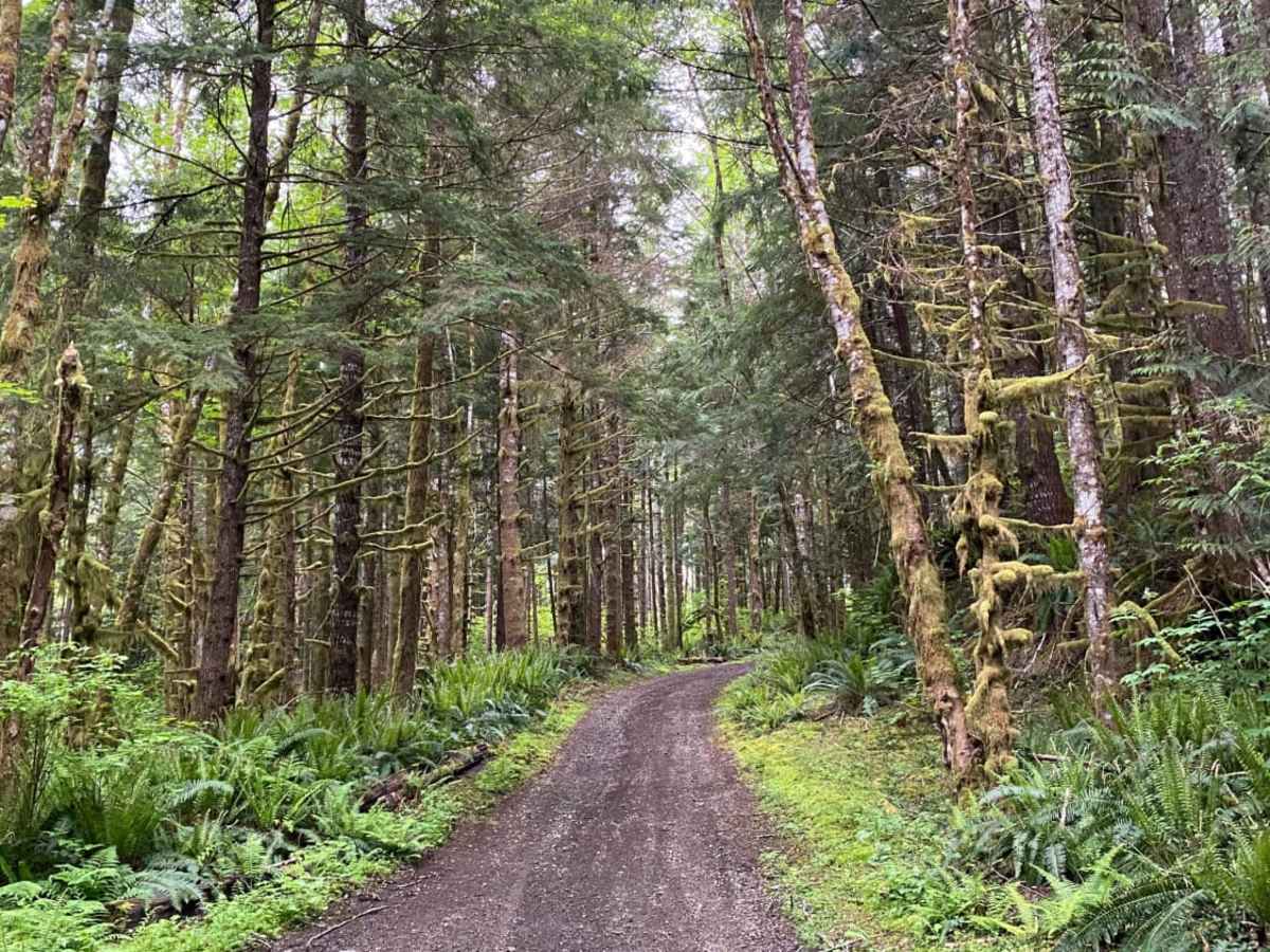 Olympic National Forest Service Road 30 | Off-Road Trail Maps ...