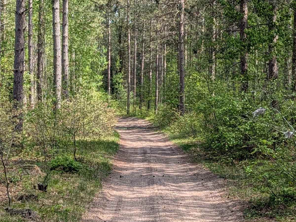 Emerson Trail | Off-Road Trail Maps, Difficulty, Trail Status | onX Offroad