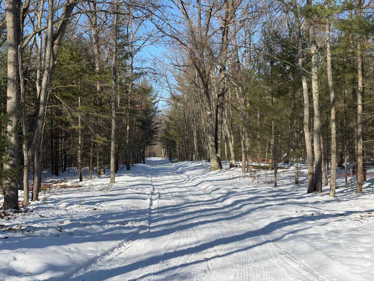 Moore Road | Off-Road Trail Maps, Difficulty, Trail Status | onX Offroad
