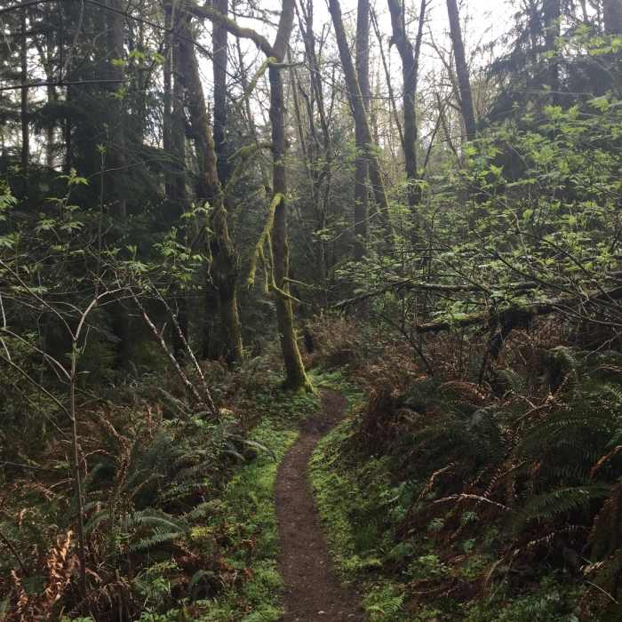 Deceiver Trail | Hiking Trail Maps, Difficulty, Trail Status | onX