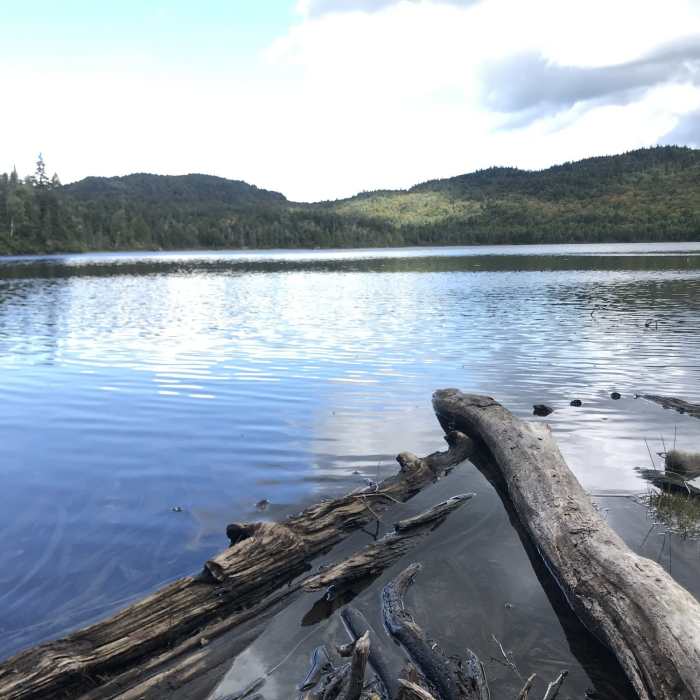 Cohos Trail (Boundary Mountains Section) | Hiking Trail Maps ...