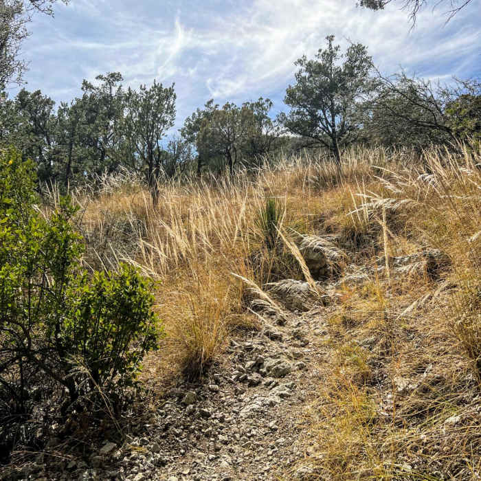 Walker Basin Loop Hiking Trail | Map, Difficulty, Trail Status | onX
