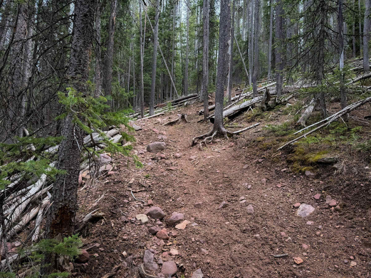 Round Park South #17 | Off-Road Trail Maps, Difficulty, Trail Status ...