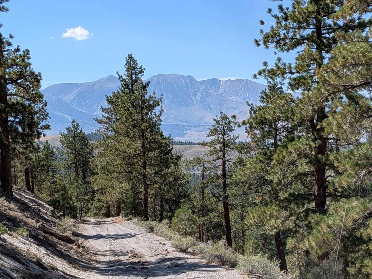 Forest Service Road 1S127 | Off-Road Trail Maps, Difficulty, Trail ...