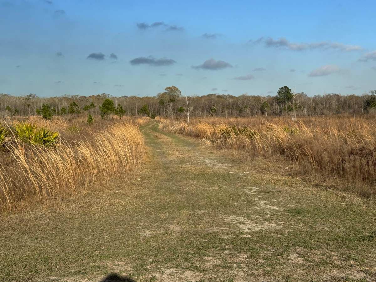 Canal Branch Road | Off-Road Trail Maps, Difficulty, Trail Status | onX ...