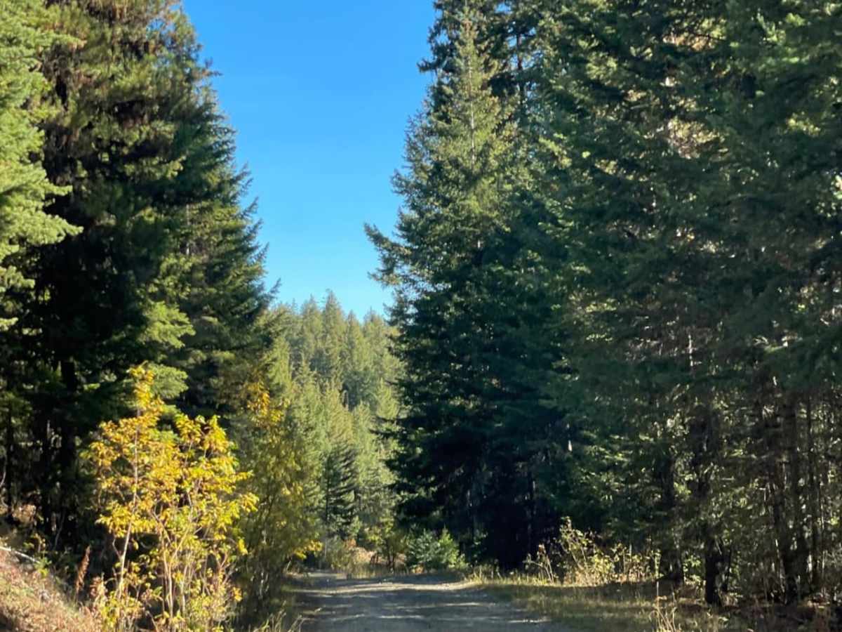 Crescent to Beaver Lake Road | Off-Road Trail Maps, Difficulty, Trail ...
