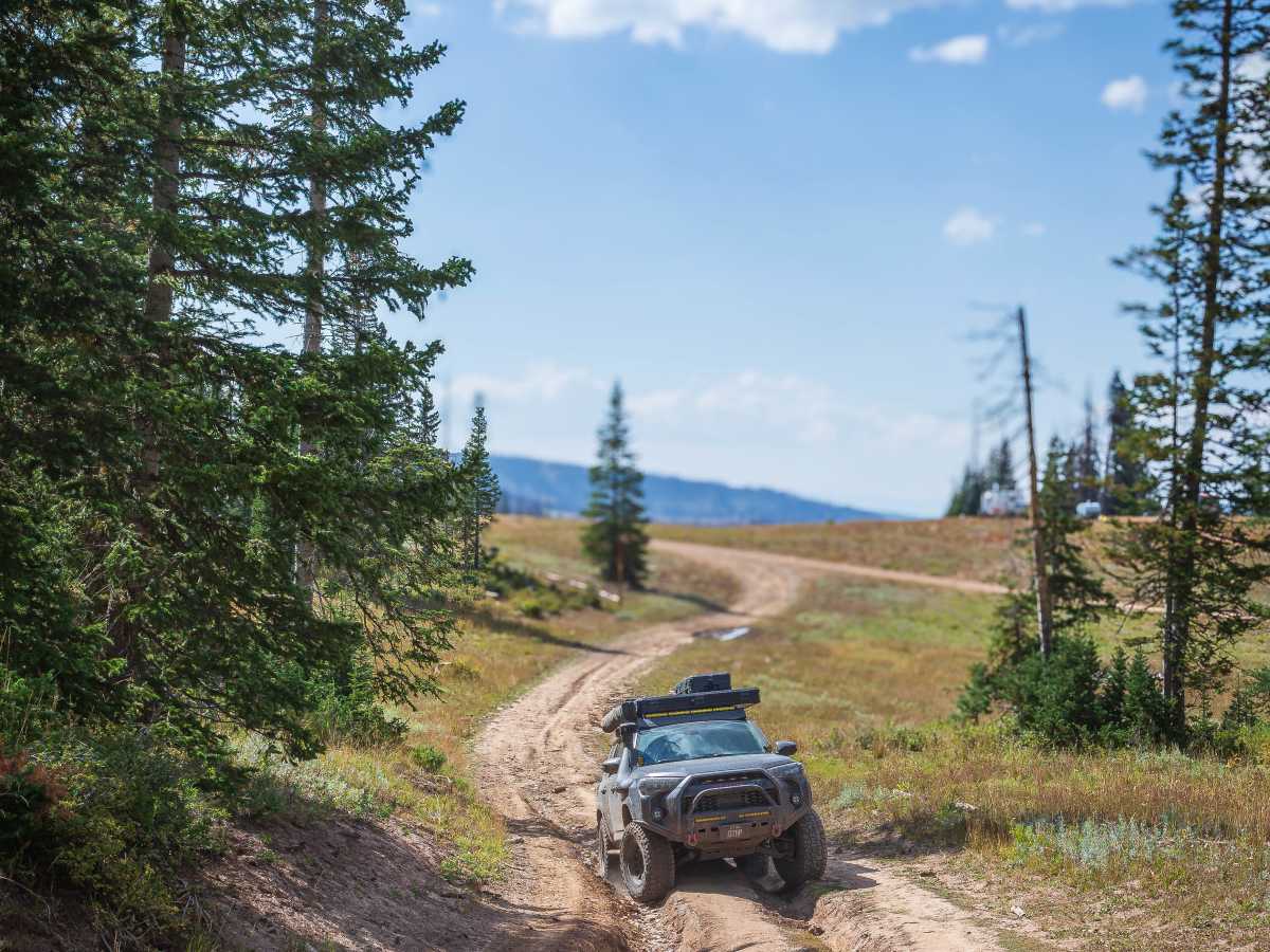 Mill Fork - FS 70580/10318 | Off-Road Trail Maps, Difficulty, Trail ...