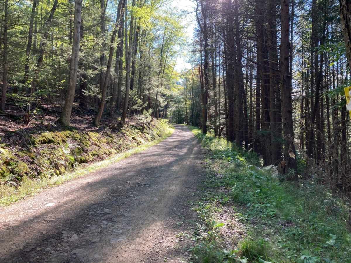 Green Hill Road | Off-Road Trail Maps, Difficulty, Trail Status | onX ...