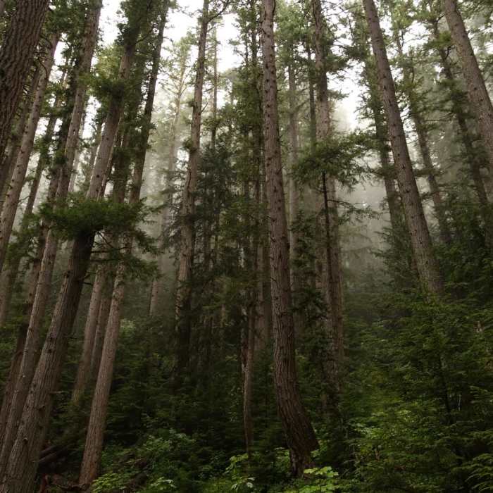 Grand Pass Loop Hiking Trail Map Difficulty Trail Status Onx