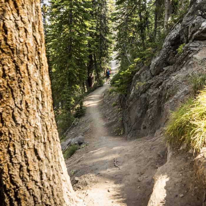 Titus Lake Trail Hiking Trail | Map, Difficulty, Trail Status | onX