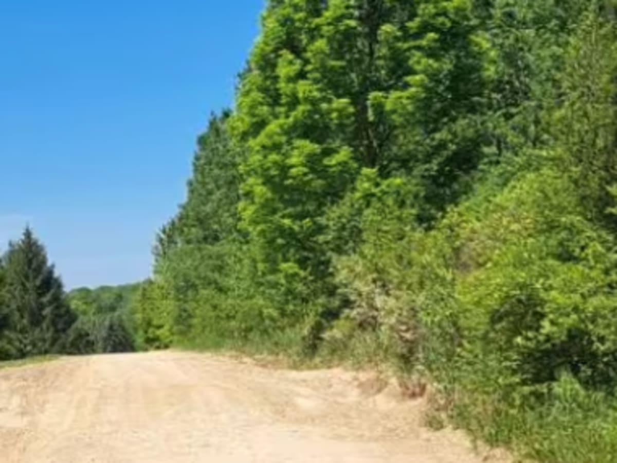 Camp Bypass Trail | Off-Road Trail Maps, Difficulty, Trail Status | onX ...