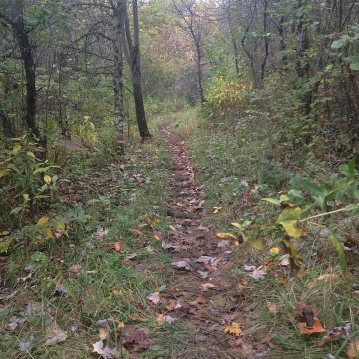 Handlers Long Haul Trail | Hiking Trail Maps, Difficulty, Trail Status ...