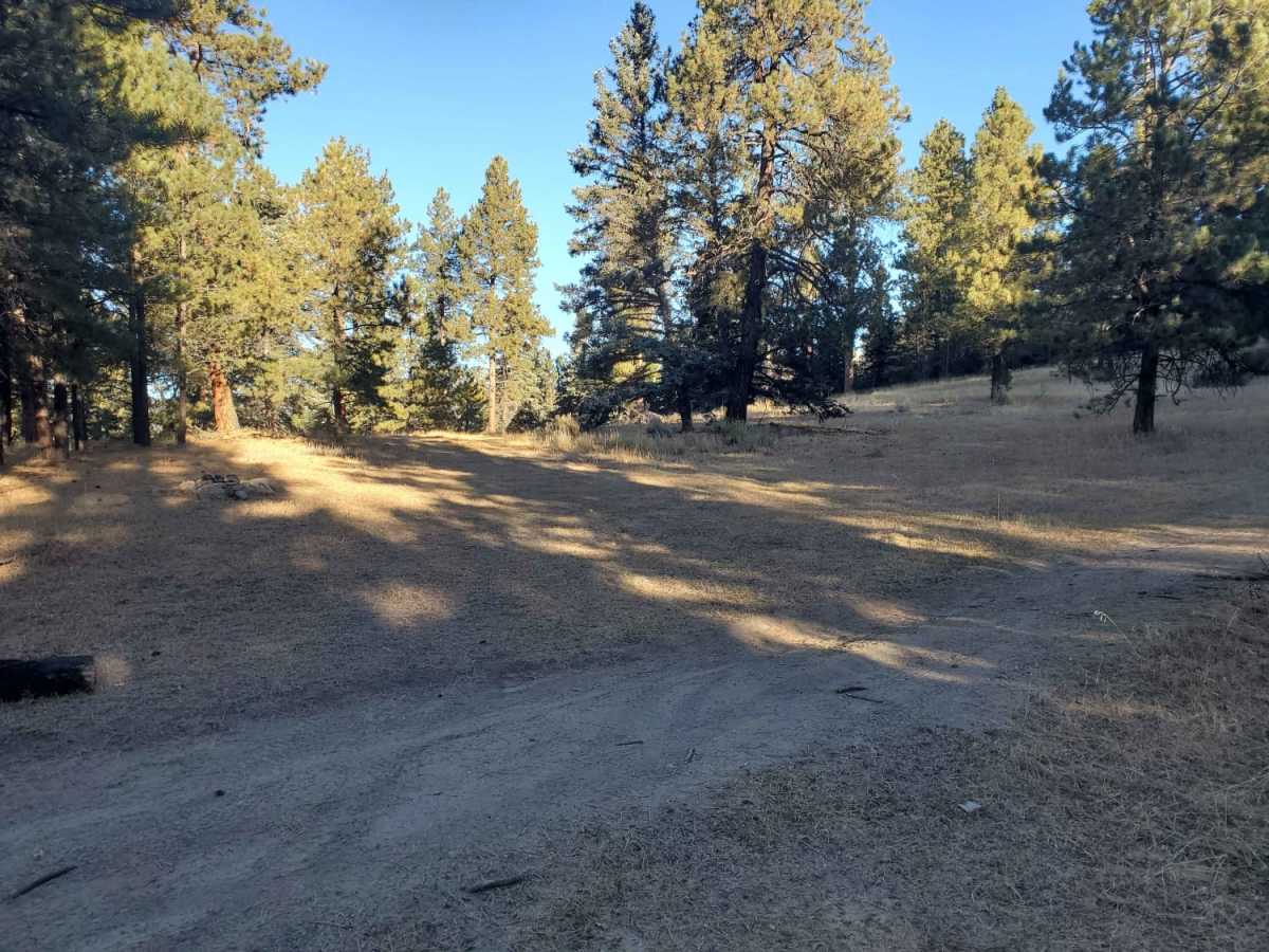 Osha Pass/70b | Off-Road Trail Maps, Difficulty, Trail Status | onX Offroad