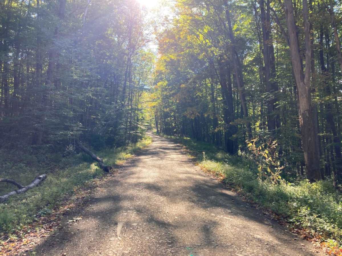 Green Hill Road | Off-Road Trail Maps, Difficulty, Trail Status | onX ...