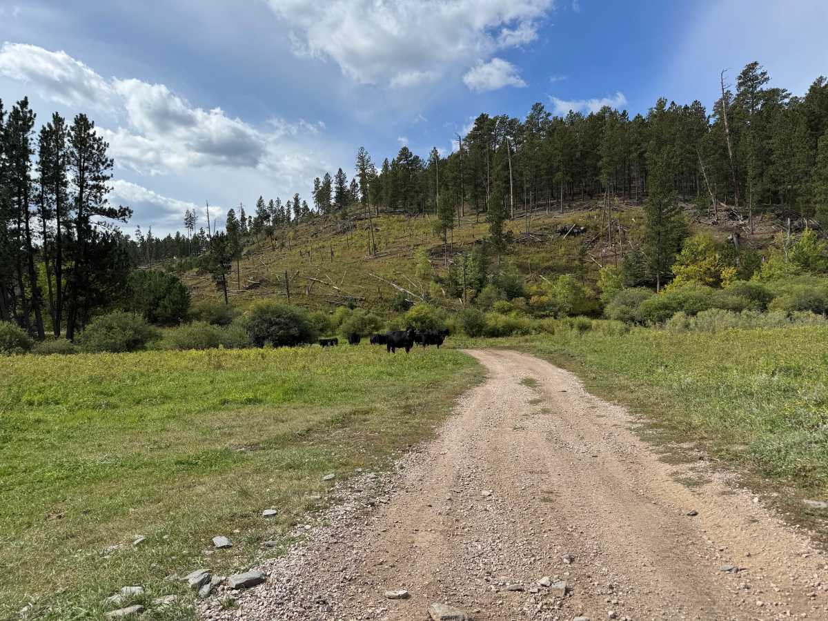 Marshall Gulch | Off-Road Trail Maps, Difficulty, Trail Status | onX ...