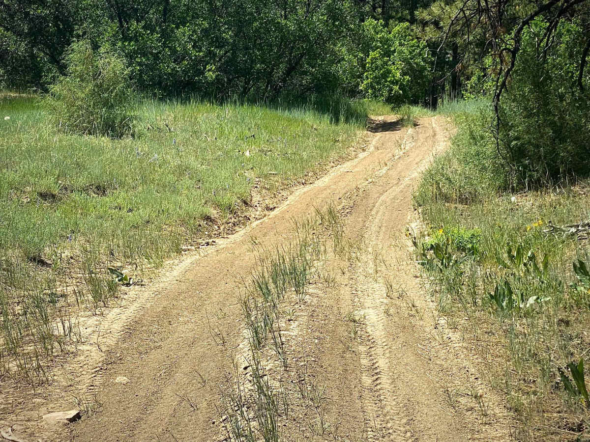 Eight Mile Mesa D-USFS Rd #651D | Off-Road Trail Maps, Difficulty ...