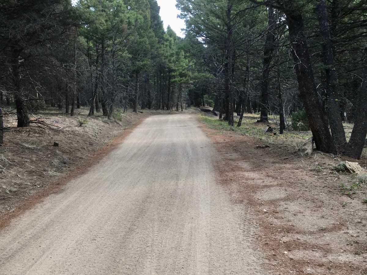 North Fork Road | Off-Road Trail Maps, Difficulty, Trail Status | onX ...