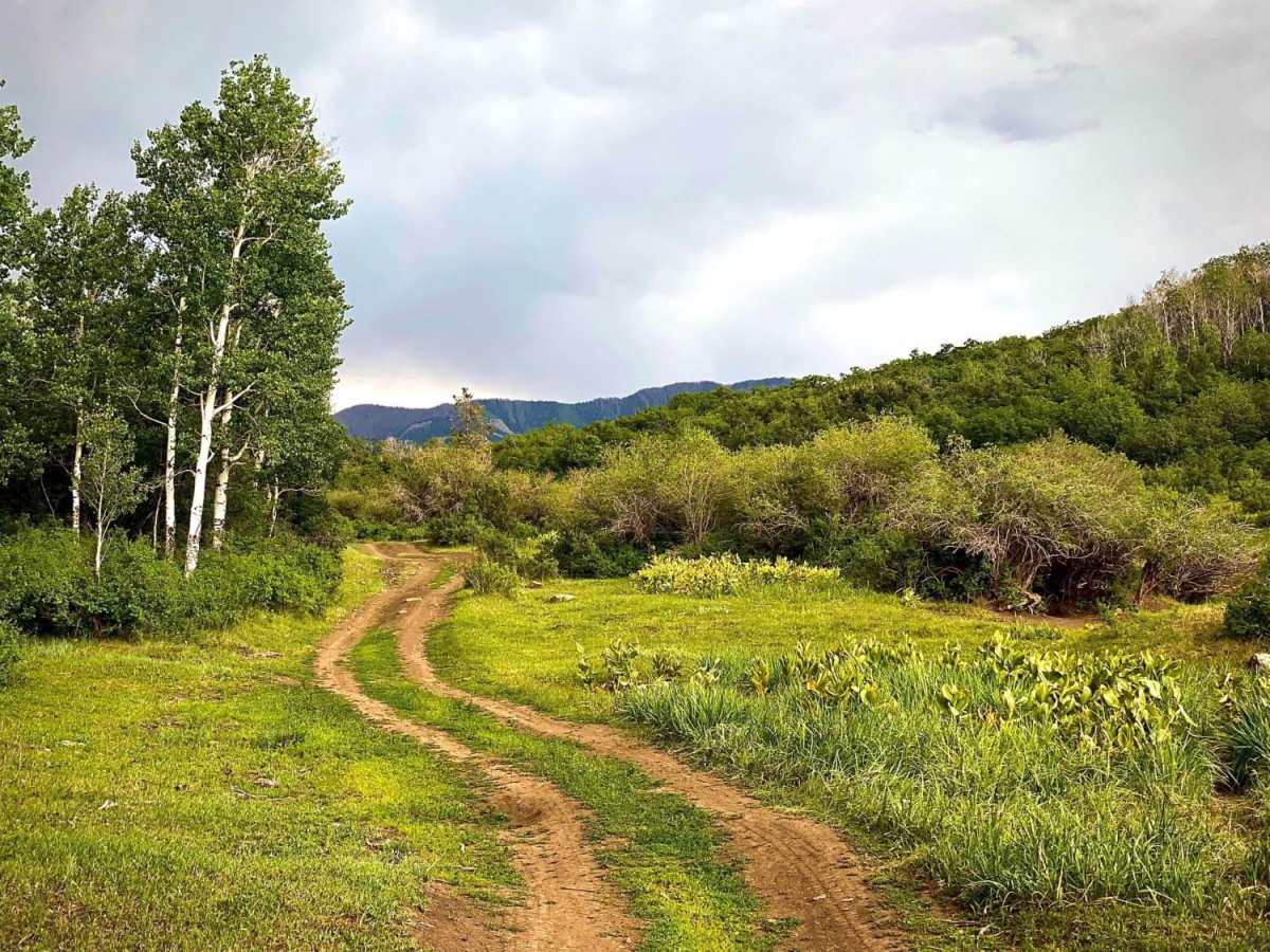 Fr Road 664 | Off-Road Trail Maps, Difficulty, Trail Status | onX Offroad