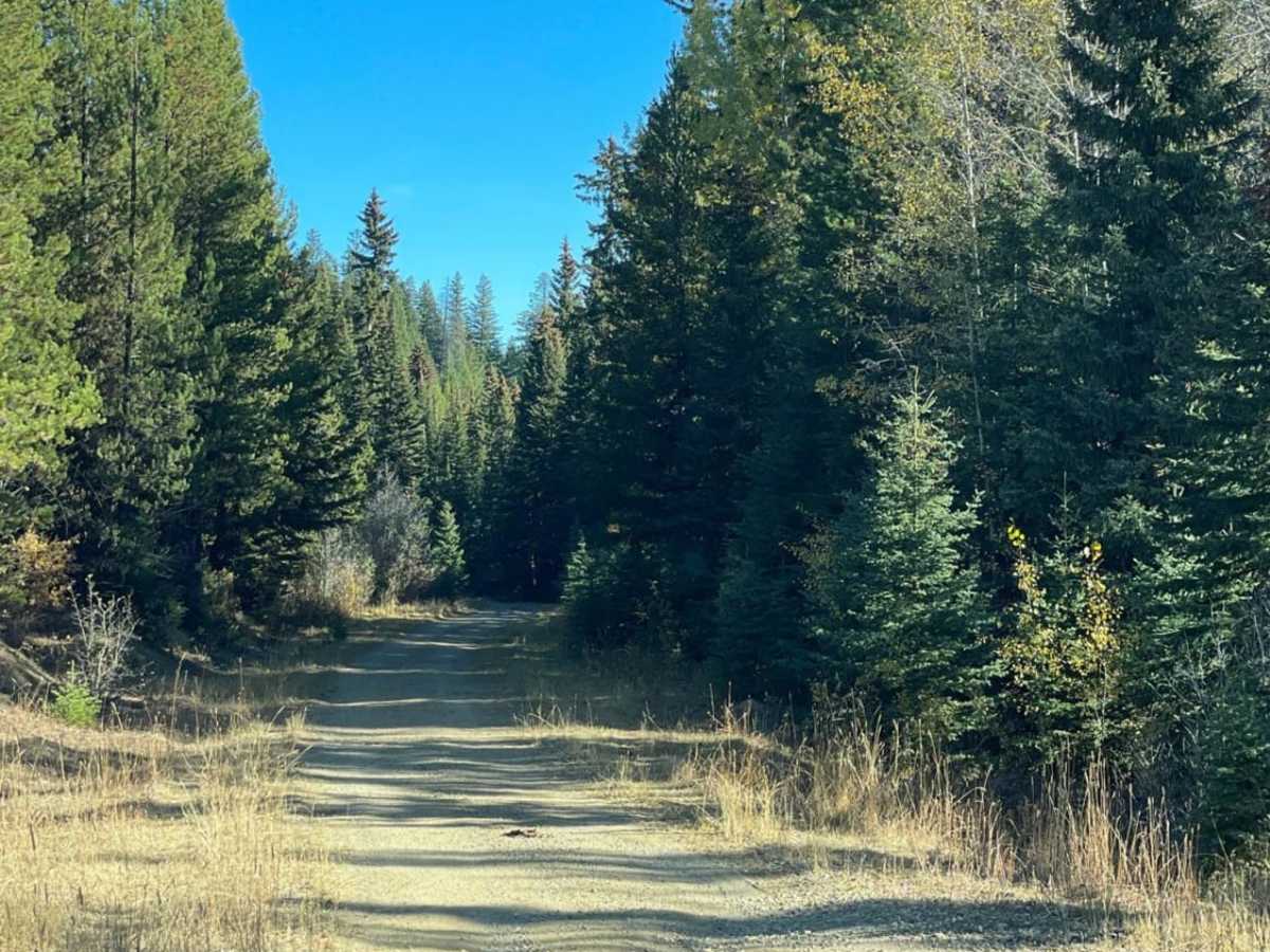Crescent to Beaver Lake Road | Off-Road Trail Maps, Difficulty, Trail ...