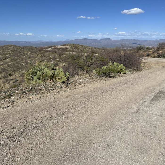 Tiger Mine Road Hiking Trail | Map, Difficulty, Trail Status | onX