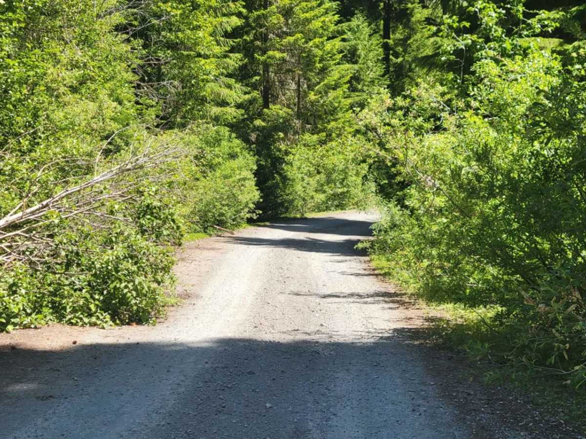 Mud Creek - Forest Road 309 | Off-Road Trail Maps, Difficulty, Trail ...